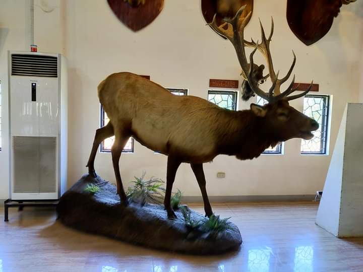 Baluarte Zoo and Safari Gallery in Vigan, Philippines