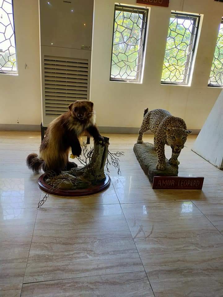 Baluarte Zoo and Safari Gallery in Vigan, Philippines