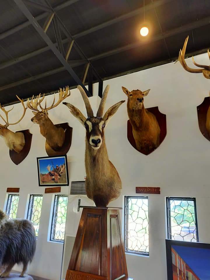 Baluarte Zoo and Safari Gallery in Vigan, Philippines