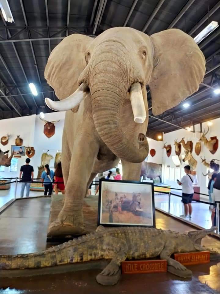 Baluarte Zoo and Safari Gallery in Vigan, Philippines