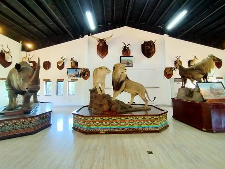 Baluarte Zoo and Safari Gallery in Vigan, Philippines