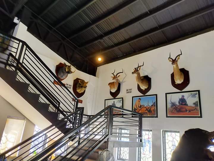 Baluarte Zoo and Safari Gallery in Vigan, Philippines