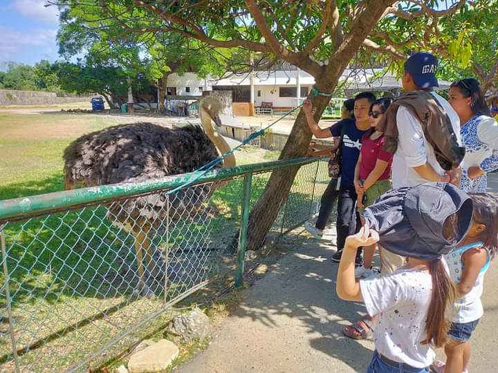 Baluarte Zoo and Safari Gallery in Vigan, Philippines