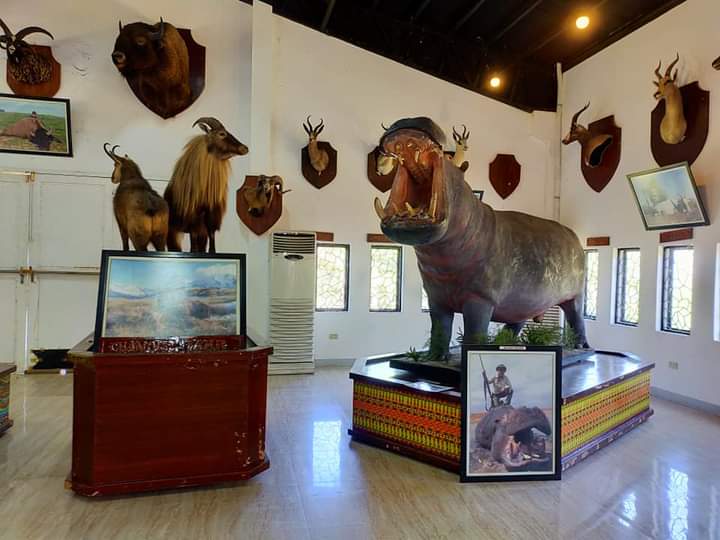 Baluarte Zoo and Safari Gallery in Vigan, Philippines