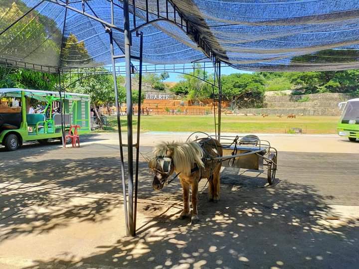 Baluarte Zoo and Safari Gallery in Vigan, Philippines