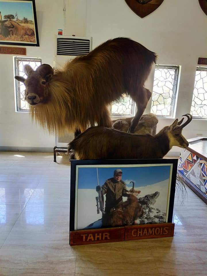 Baluarte Zoo and Safari Gallery in Vigan, Philippines