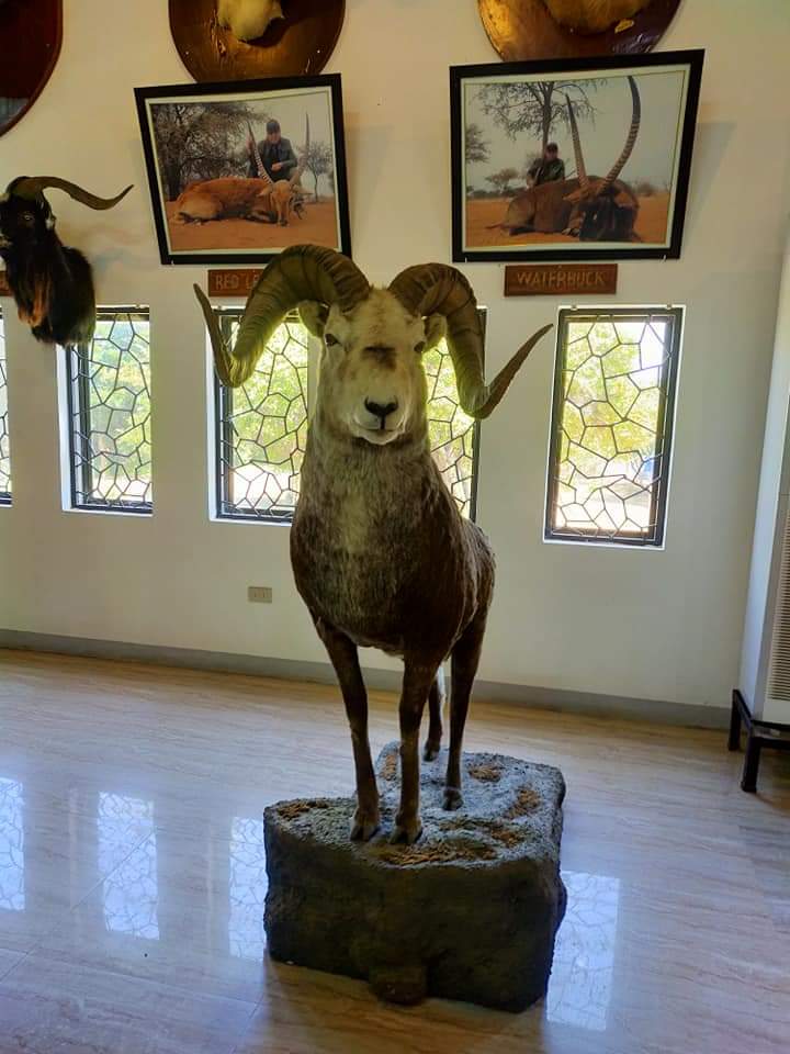 Baluarte Zoo and Safari Gallery in Vigan, Philippines