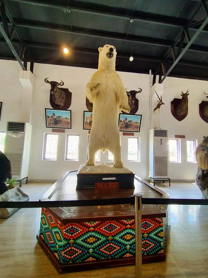 Baluarte Zoo and Safari Gallery in Vigan, Philippines